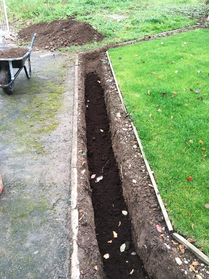 Hedge, Lawn & Tree Maintenance Gallery | Shaun Foxon Landscape & Garden ...